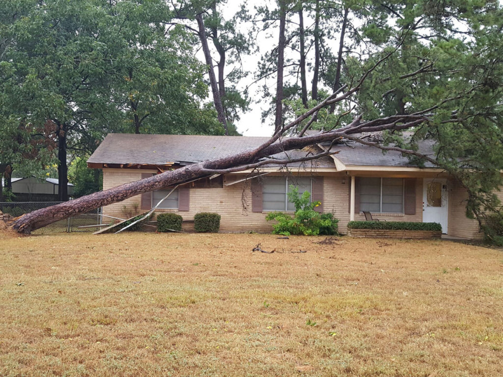 Tree Damage Roof Repair - Shelton Homes
